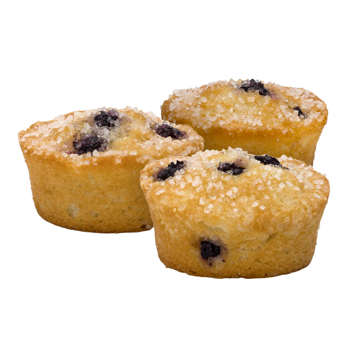 Mini Blueberry Muffin